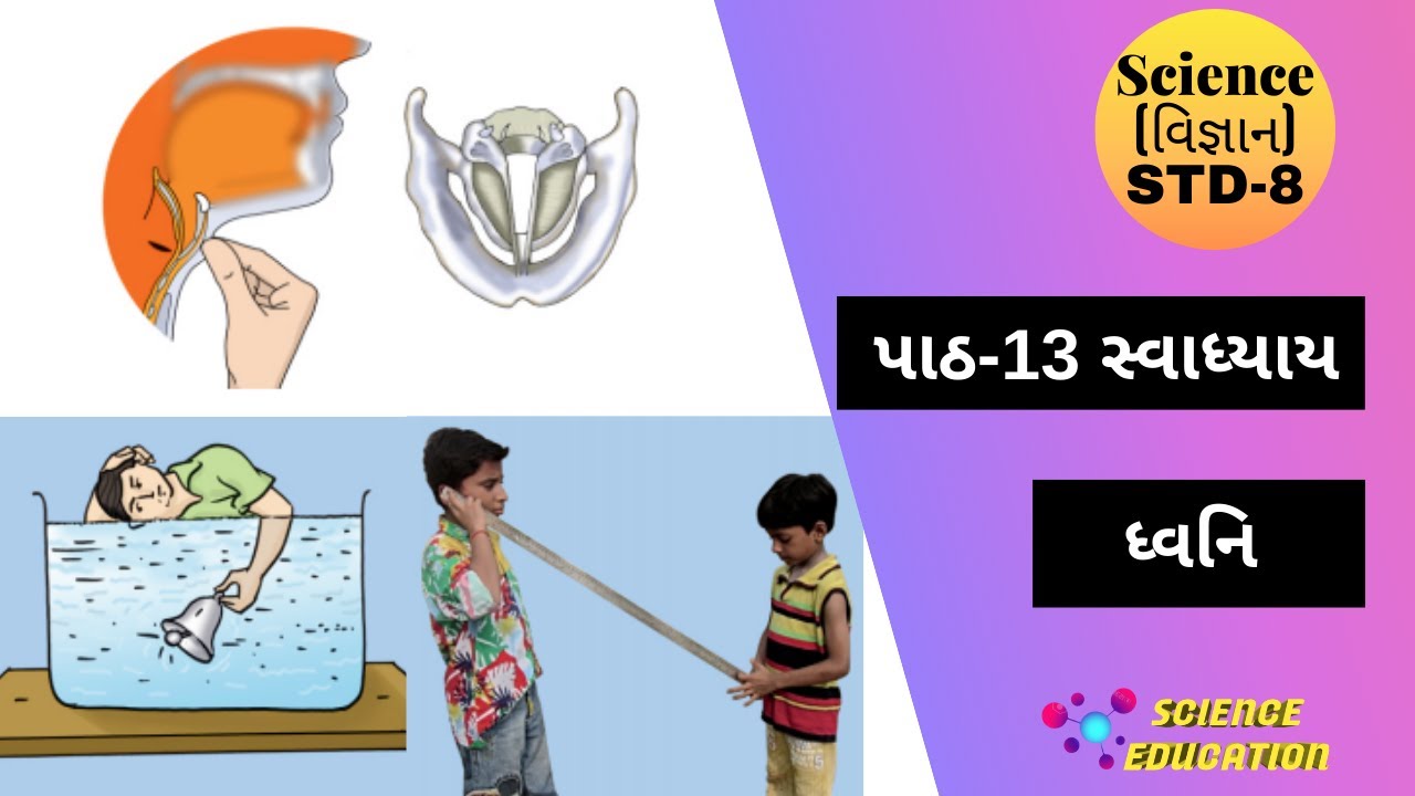 Std 8 Science Chapter 13 Exercise CLASS 8 CHAPTER 13 Exercise 13 Sound std-8-science-chapter-13-exercise-class-8-chapter-13-exercise-13-sound