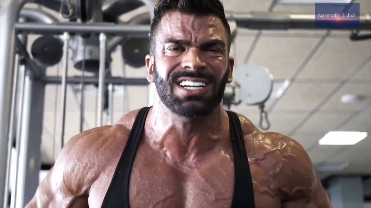 Sergi Constance Back Workout | 2019 | Aesthetic Tube - YouTube
