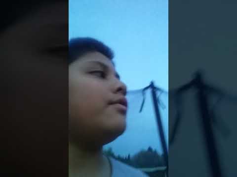 Cousins trampling