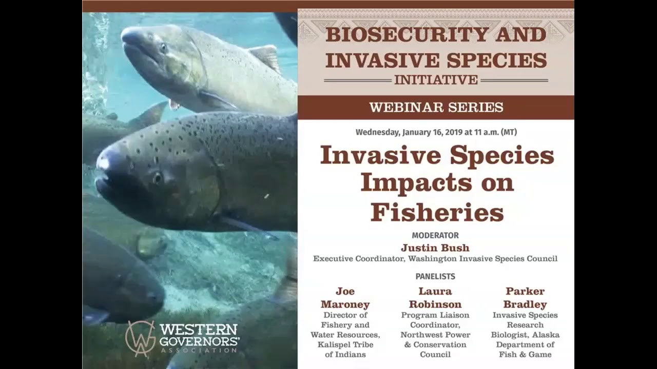 Webinar: Invasive Species Impacts on Fisheries - YouTube