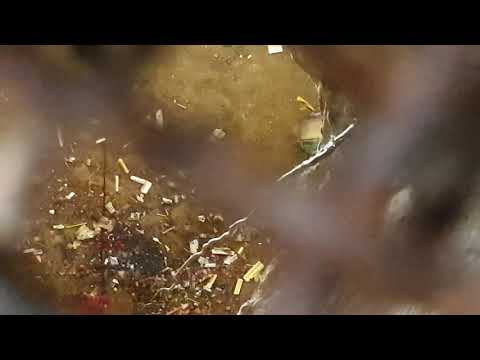 MESCİD-İ AKSA'NIN ALTINDAKİ KADİM VE ZEYTİNYAĞI DEHLİZLERİ MESCİD 1.BÖLÜM.