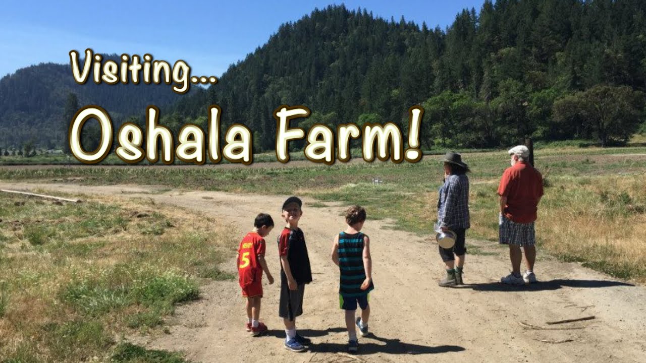 Visiting Oshala Farm: An Organic Local Oregon Farm - YouTube