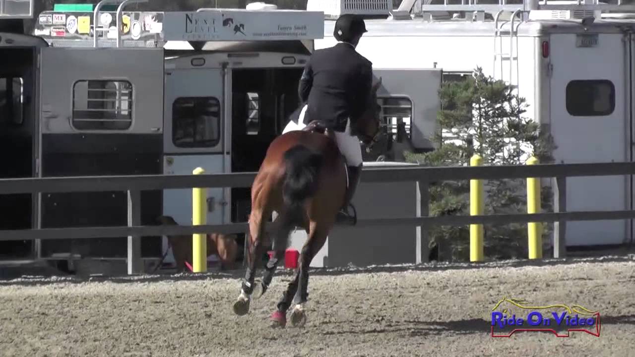 186S John Michael Durr on Jack a Dandy Open Training Show Jumping ...