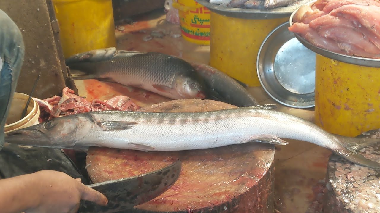 biggest Kun fish cutting skills best techniques cutting - YouTube
