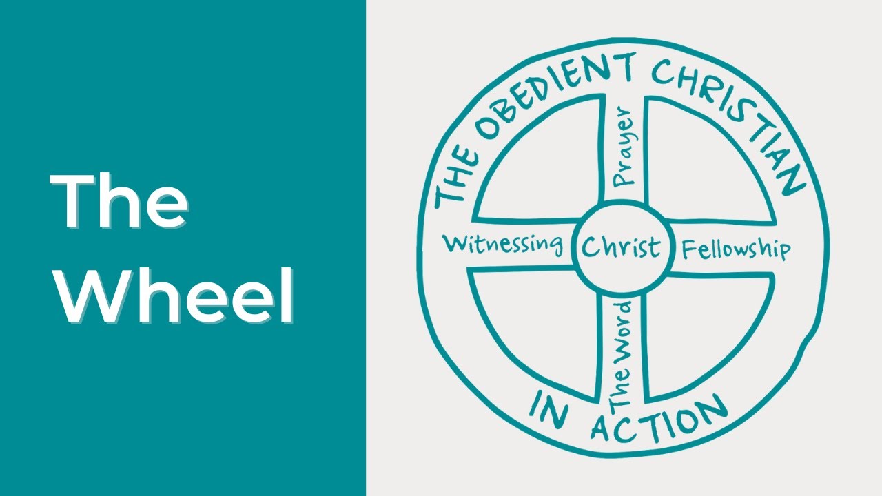 The Wheel Illustration - YouTube