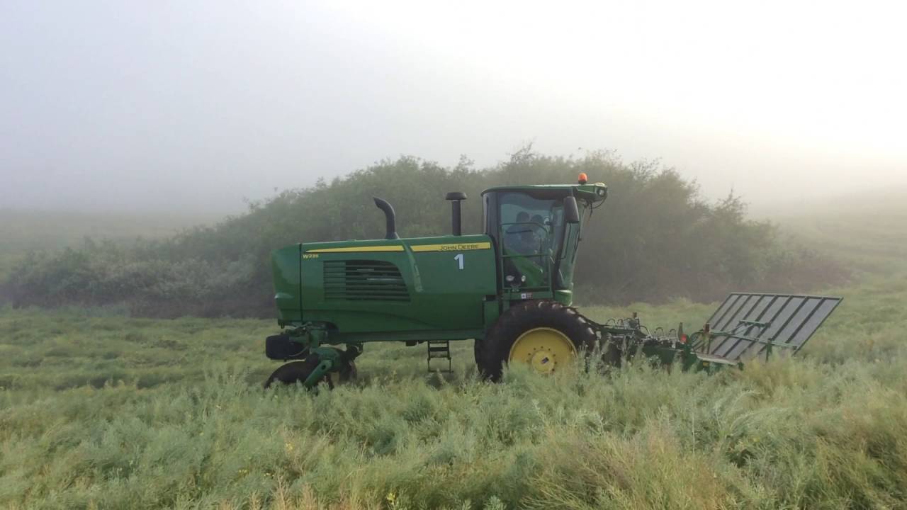 Swathing Hunter Forage Brassica 2016 - YouTube