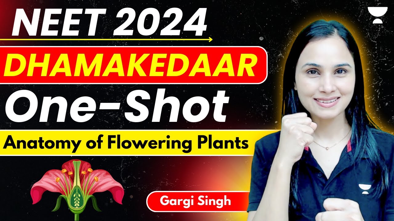 Anatomy of Flowering Plants | Dhamakedaar One Shot | NEET 2024 | Dr. Gargi Singh - YouTube