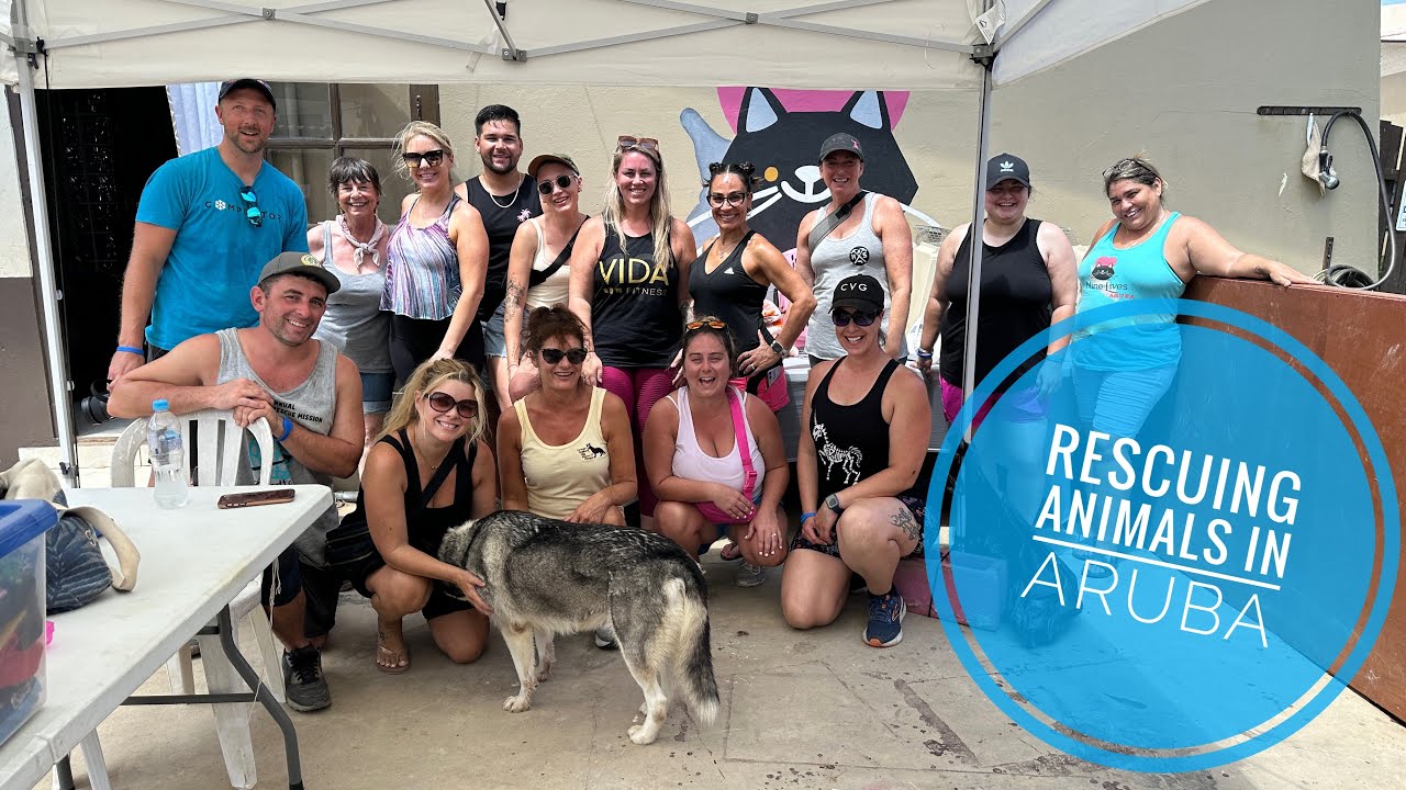 Aruba Animal Rescue Mission - YouTube