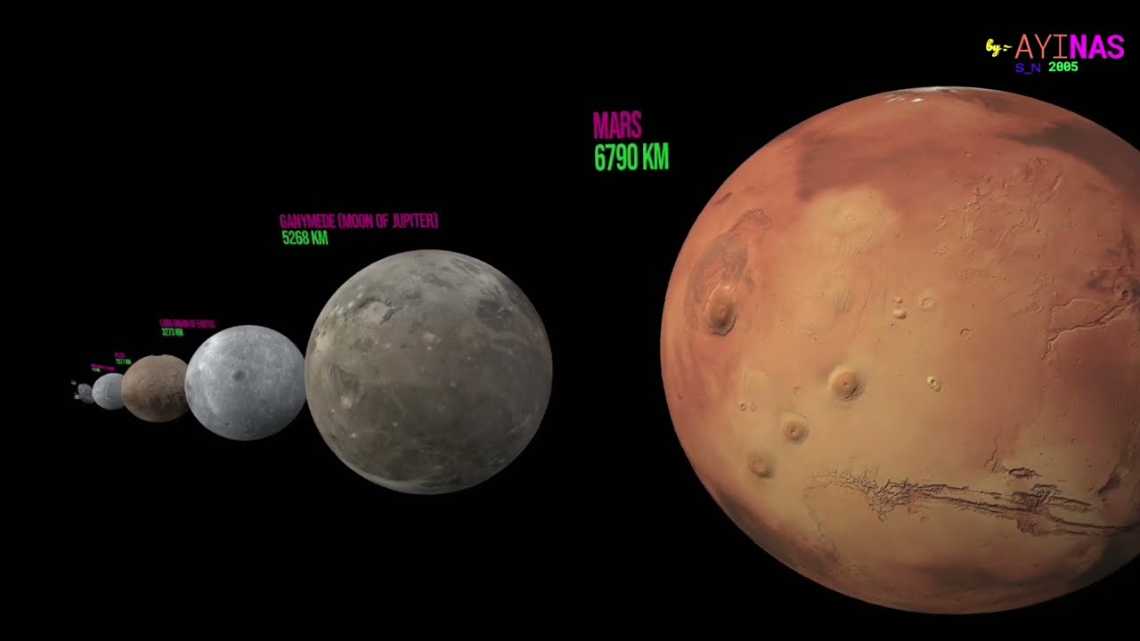 AMAZING COMPARISON IN 3D ! ACTUAL SIZE Comparison - YouTube
