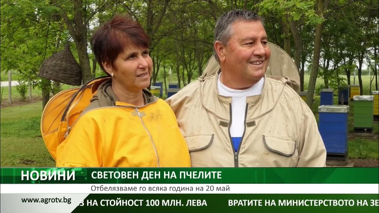 СВЕТОВЕН ДЕН НА ПЧЕЛИТЕ Отбелязваме го всяка година на 20 май Youtube