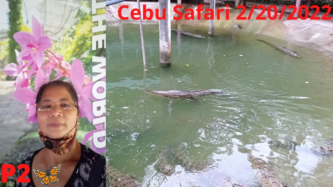 Savannah Safari at Cebu Safari 2/20/2022 P2 - YouTube