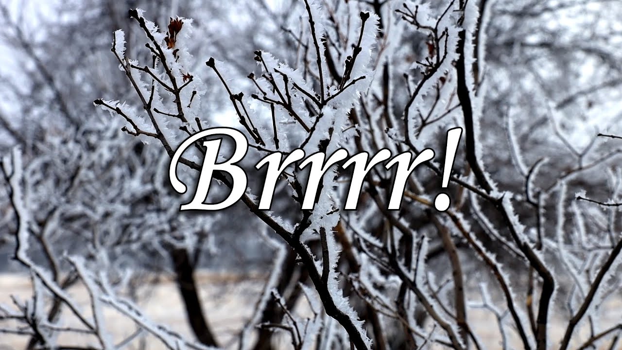 Feels like Winter is finally here - YouTube