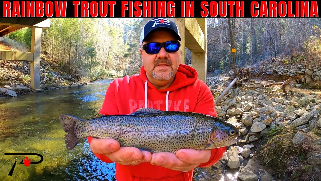 Rainbow Trout Fishing In South Carolina - YouTube