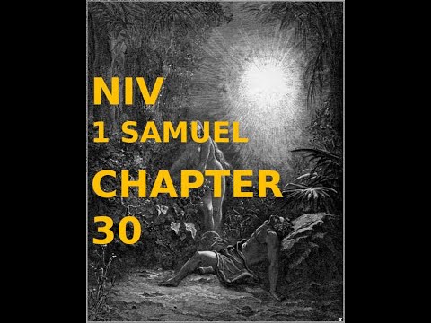 1 SAMUEL(NIV), CHAPTER 30 - YouTube
