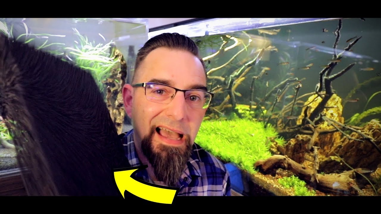Aquarium Filtration adding Matala Mat - YouTube