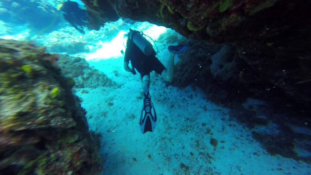 Columbia Reef Dive 2 - YouTube