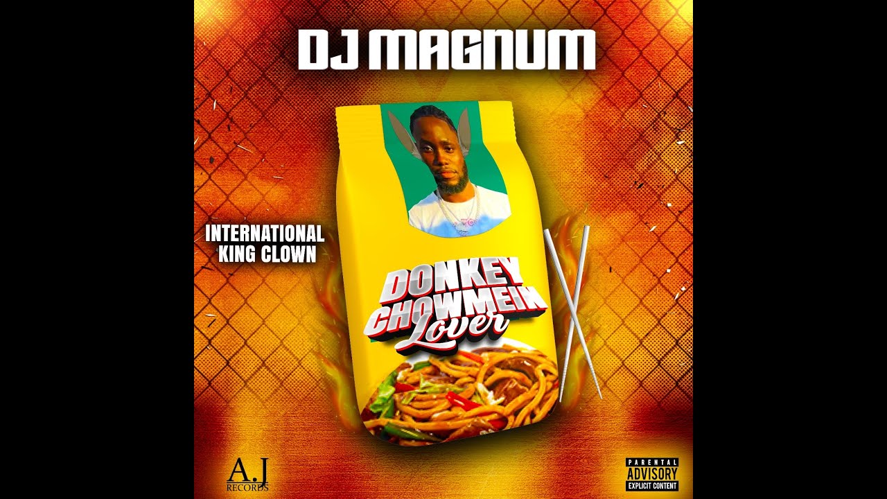 Dj Magnum - Donkey Chowmein Lover (Radio Clean) - YouTube