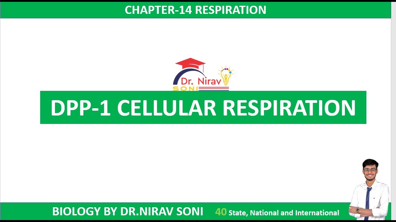 CHAPTER-14 RESPIRATION || DPP-1 || CELLULAR RESPIRATION || BIOLOGY-NEET ...