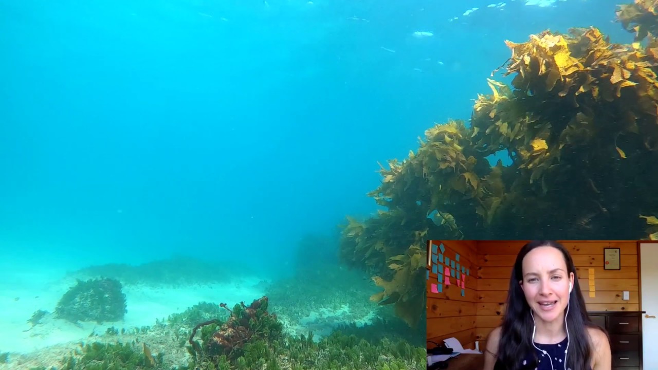 Mindset, Courage And Doing What You Want With Tash Pieterse | With Go ...