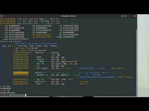 Radare2 Series 0x3 - Debugging Part 1 Runtime Analysis and Binary Patching - YouTube