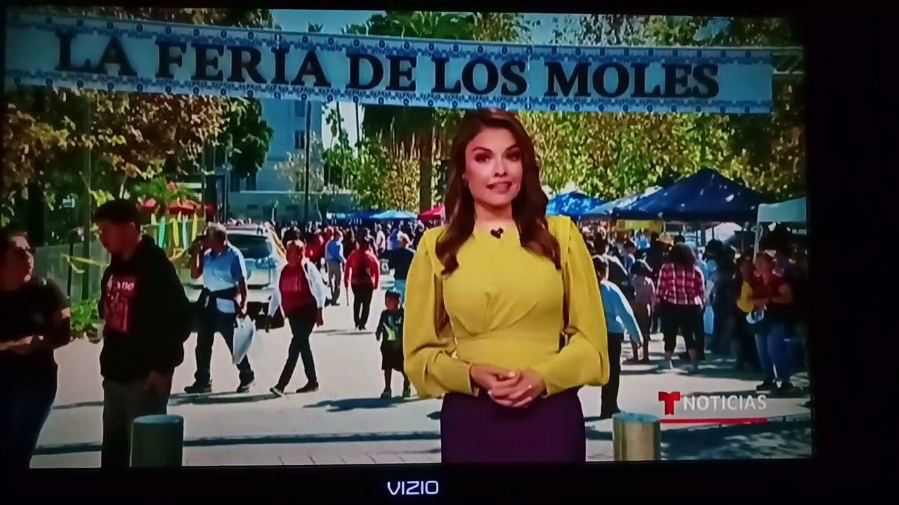 Johana Suárez Host Noticias Telemundo En LA Noches - YouTube
