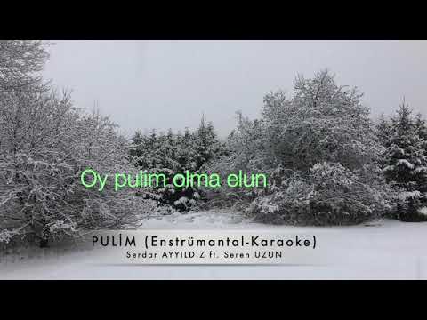 Serdar AYYILDIZ feat Seren UZUN - Pulim ( Enstrümantal ) Karaoke