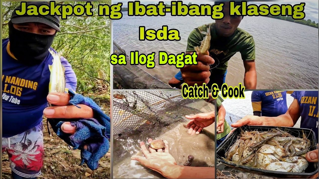 Unique Amazing Easy Fish Trap | Catch & Cook - YouTube
