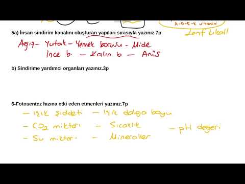 10. SINIF BİYOLOJİ MAARİF MODEL 1. DÖNEM 2. YAZILI ÖRNEK ÇALIŞMASI V2