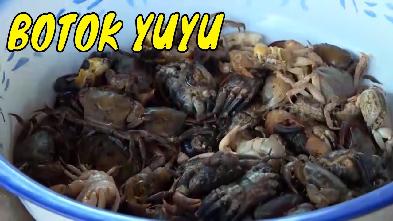 MASAK BOTOK YUYU | JEJAK ANAK NEGERI (09/07/21) - YouTube