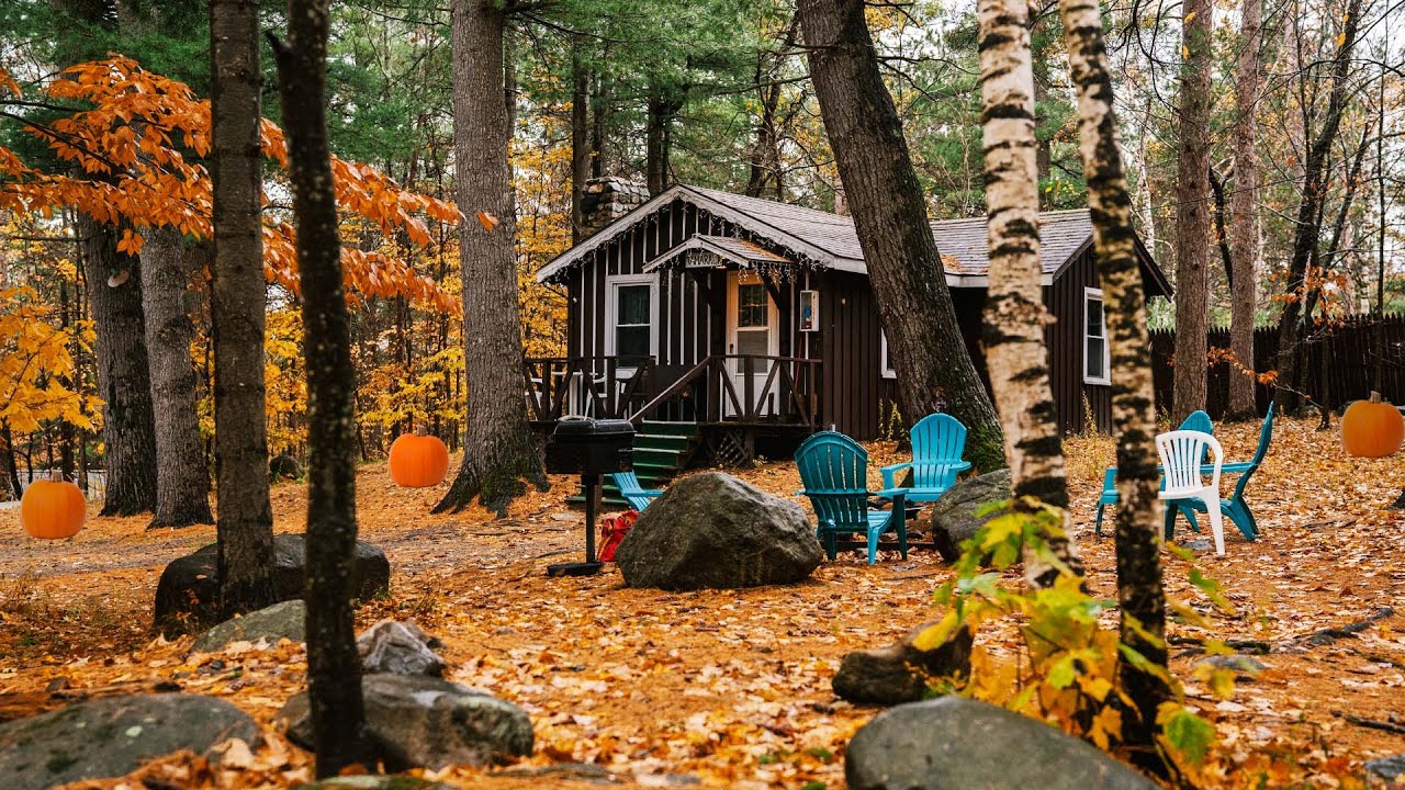 Autumn leaves falling in a restful natural ambience, birdsong and ...