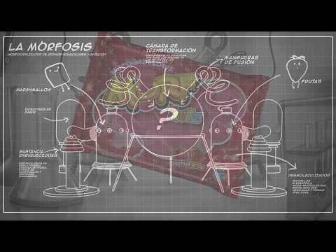 Animatic para devolucion producto Morf de Arcos Morfosis HD