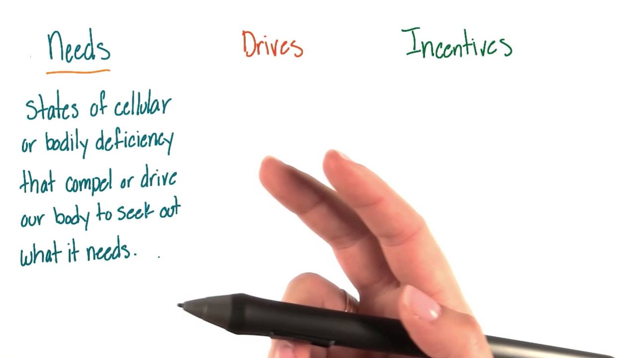 Motivation - Intro to Psychology - YouTube