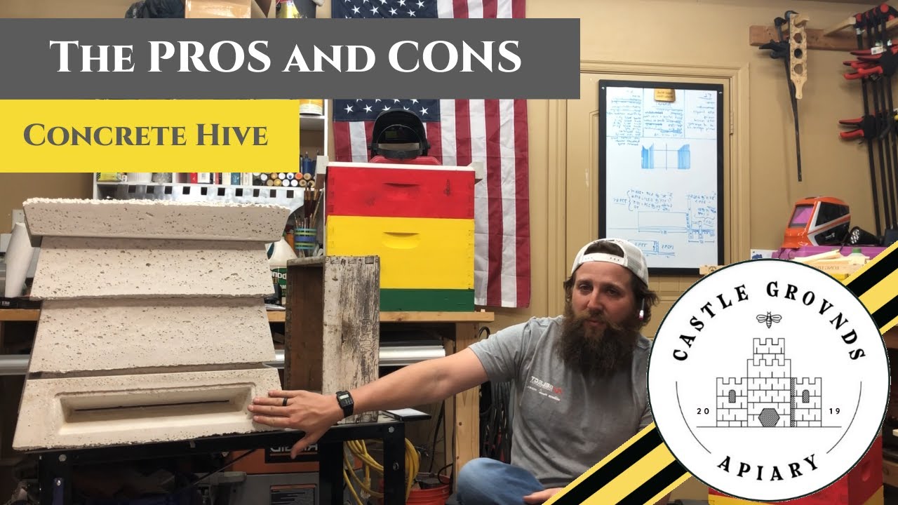 First Impressions - The Concrete Beehive - YouTube