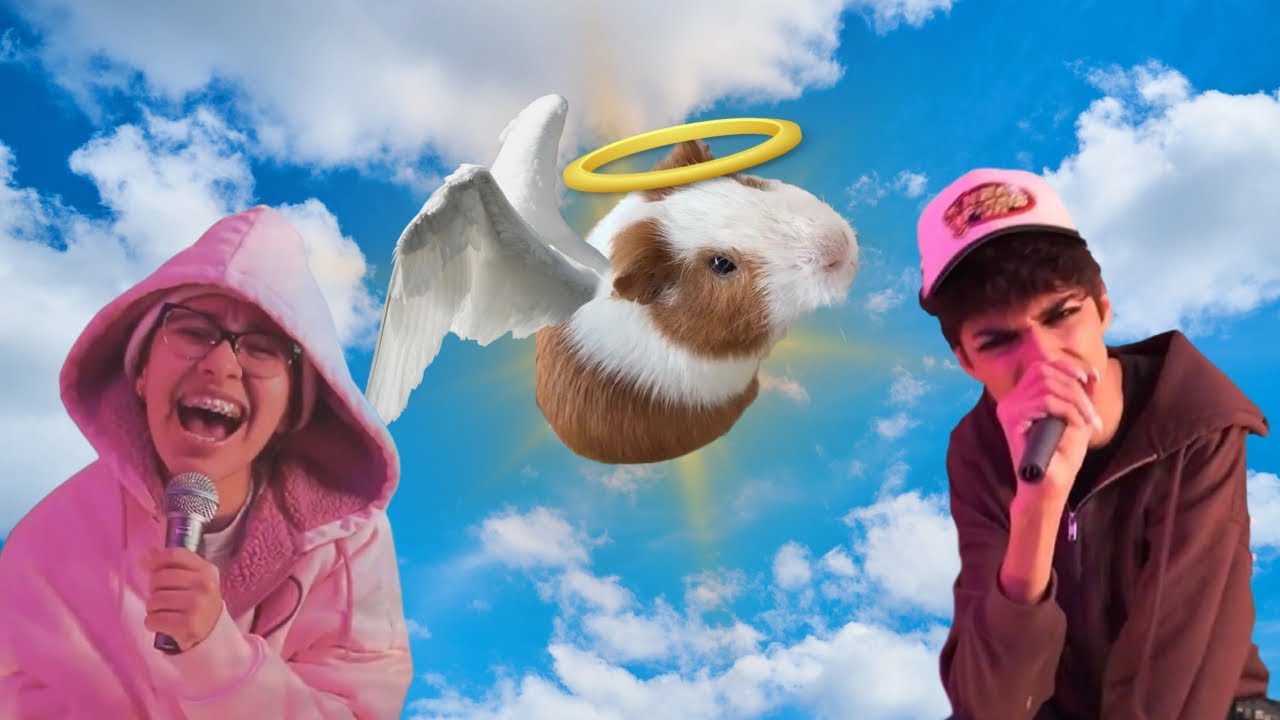 🐹Molly nos cuidara🐹 ~ Alondra Michelle ft. Alex Omar - YouTube