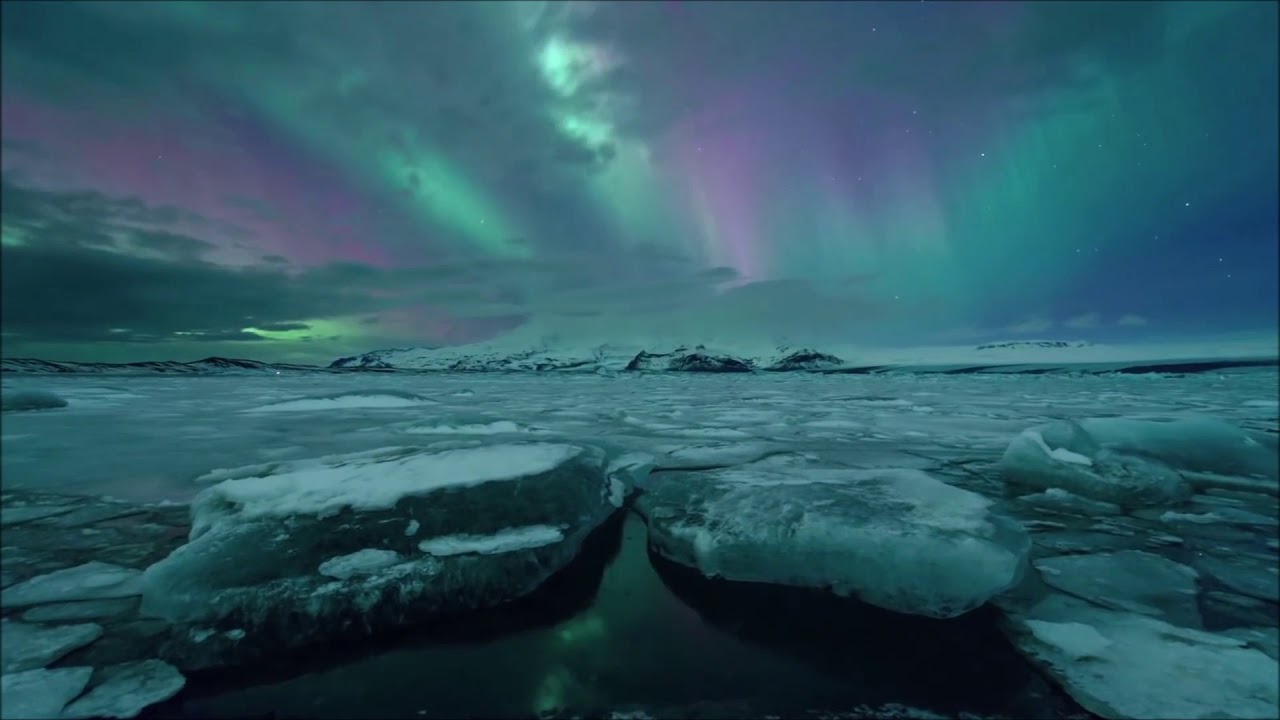 Bassnectar - Butterfly (ft. Mimi Page) [OFFICIAL FAN] - YouTube