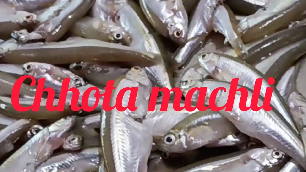 /Chhota Machhali ka recipe/ - YouTube
