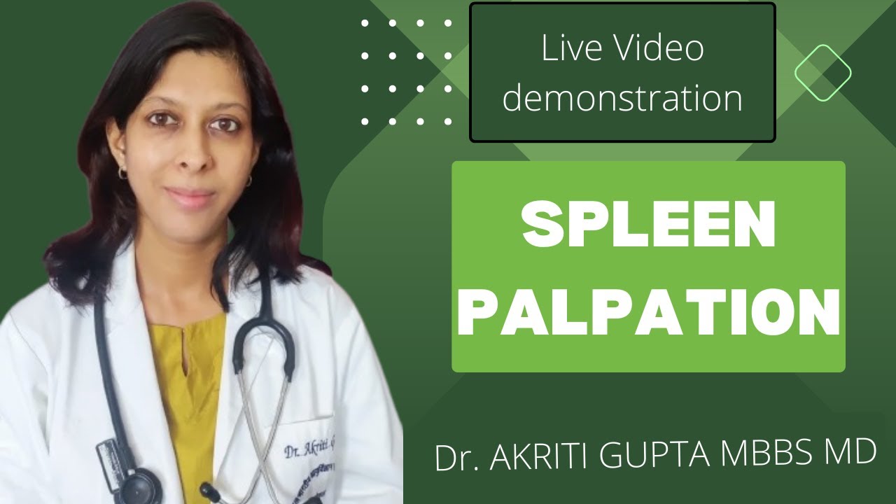 Spleen Palpation : Clinical examination - YouTube