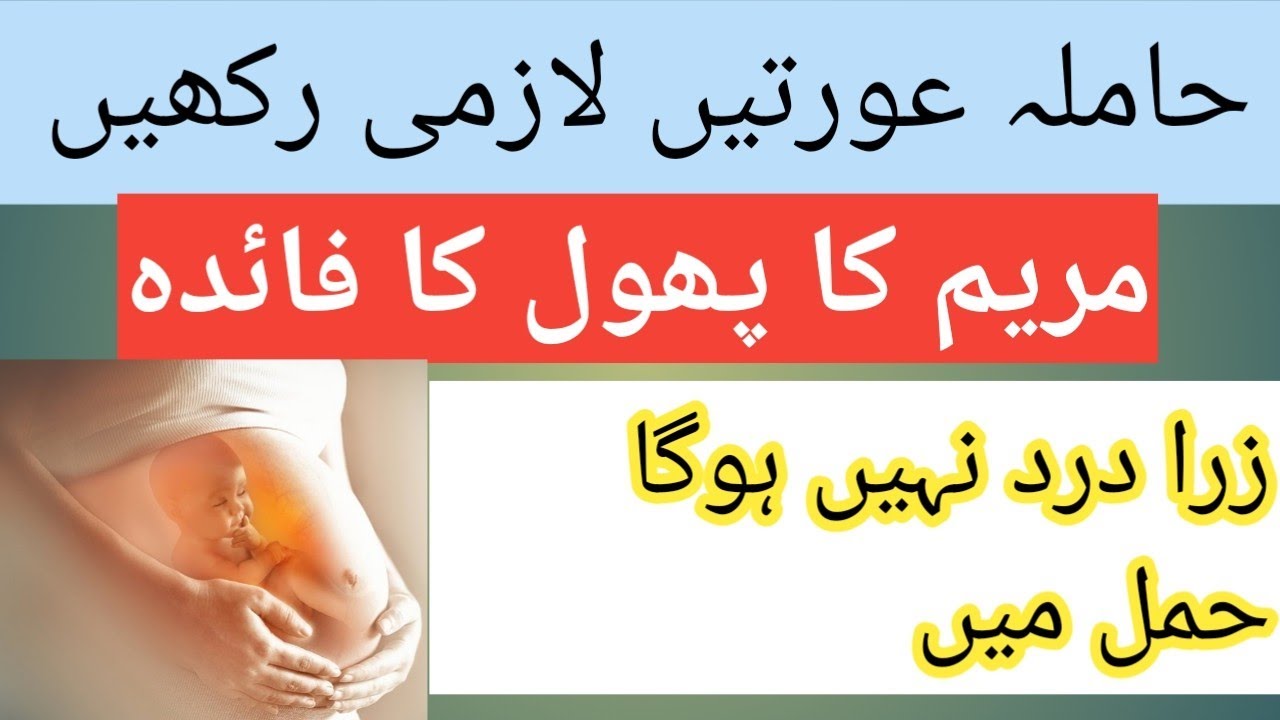 Maryam Ka Phool For Pregnancy | Hamal Mein Asani Ka Wazifa | Pregnant ...