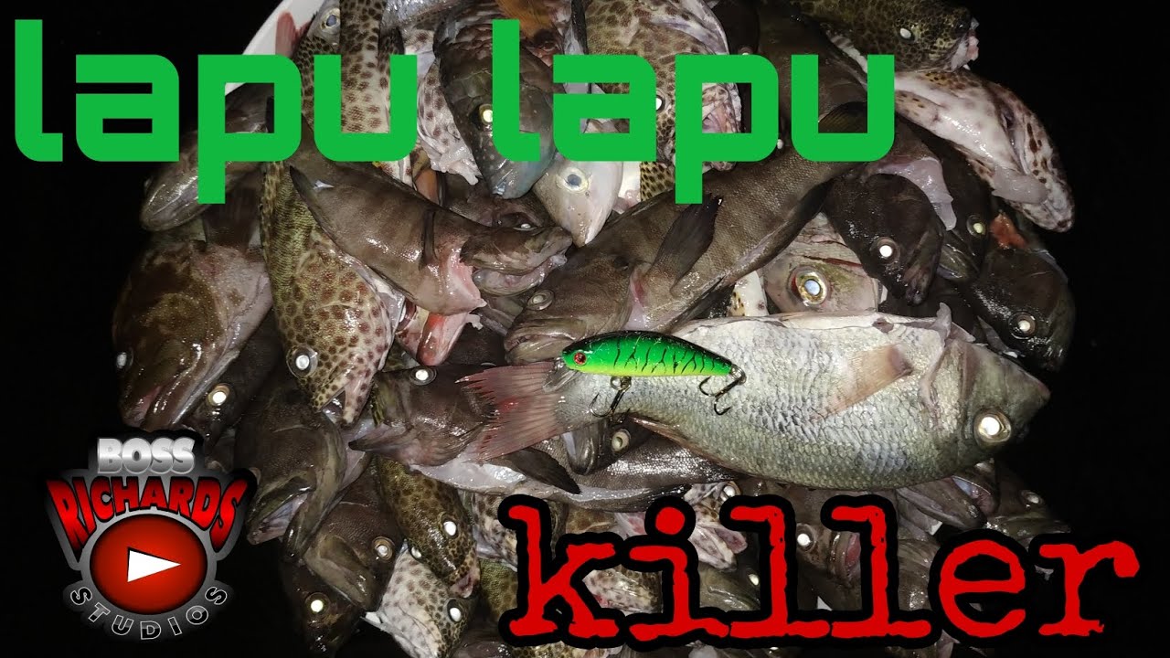 Lapu lapu fishing/isdang bato @bamban masinloc zambales - YouTube