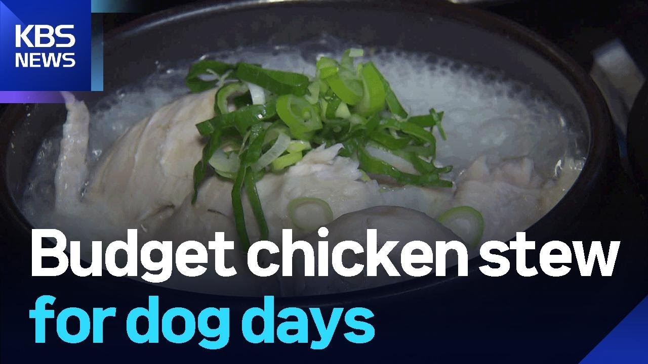 Budget chicken stew for dog days / KBS 2025.07.18. - YouTube