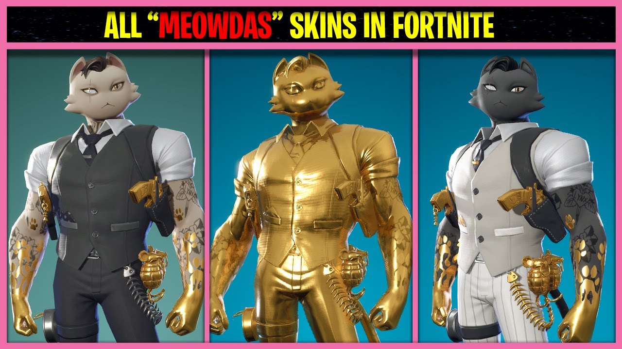 ALL MEOWDAS SKIN STYLES IN FORTNINTE CHAPTER 2 REMIX - YouTube