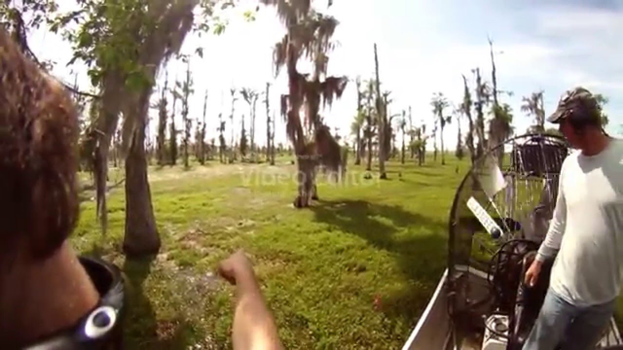 Nutria Hunting in Louisiana swamp - YouTube