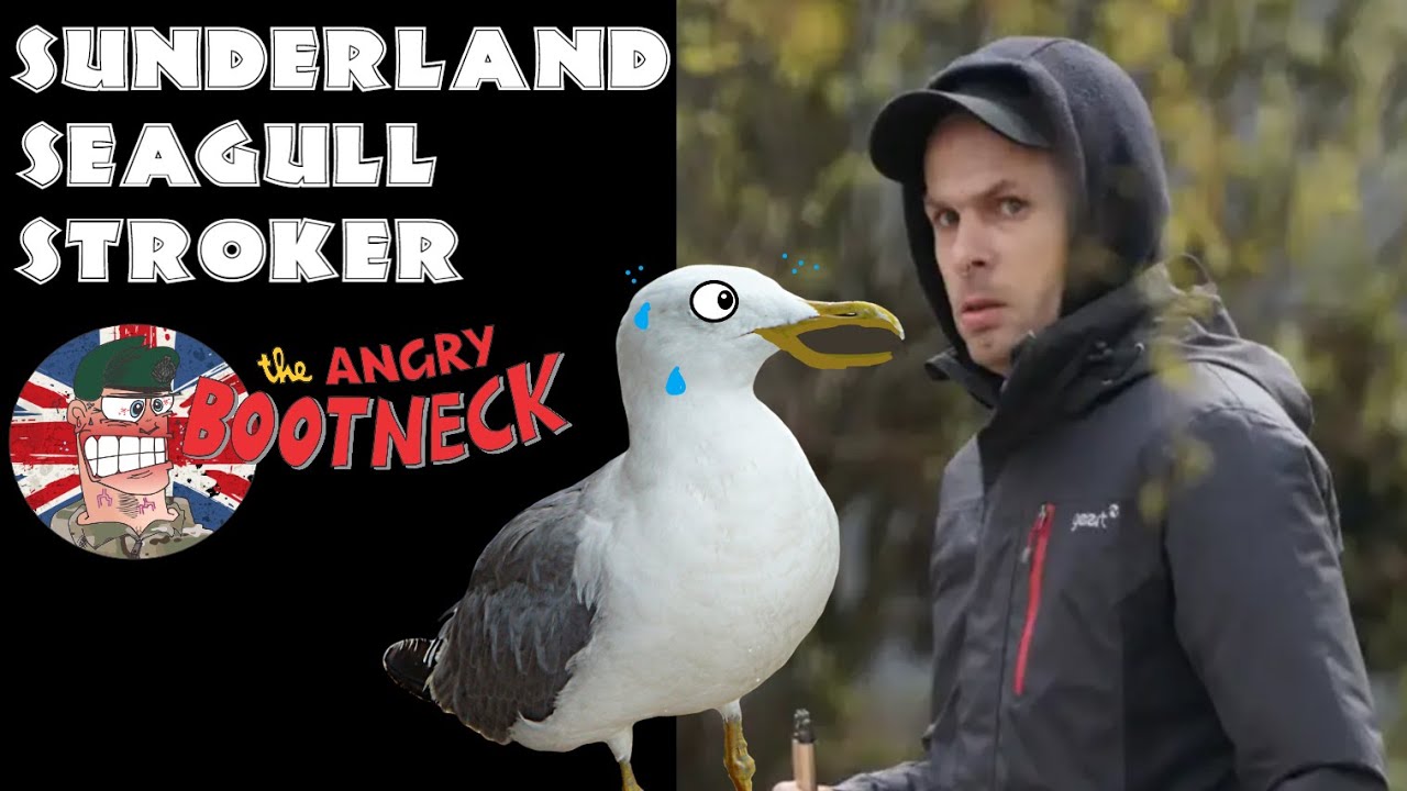 The Sunderland Seagull Stroker - YouTube