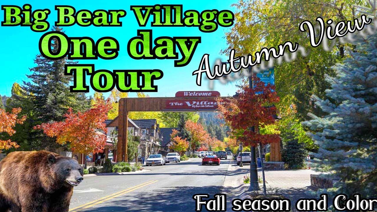 Fall Color In Big Bear City | Fall Leaves in Southern California | One ...