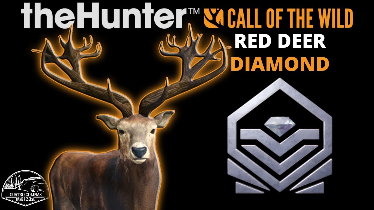 DIAMOND 😲 Red Deer (Brown) in theHunter Call of the Wild | CUATRO ...