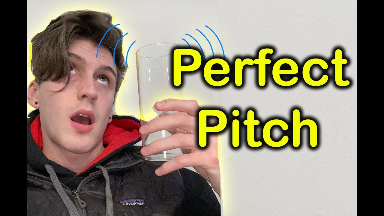 Perfect Pitch EXPLAINED + Demo! How to use? Can I get it? QUESTIONS ...