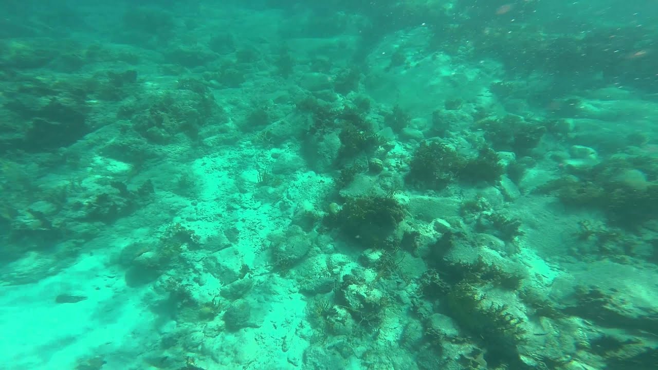 Turtle Bay Sail and Snorkel Adventure ST97 Royal Caribbean excursion ...