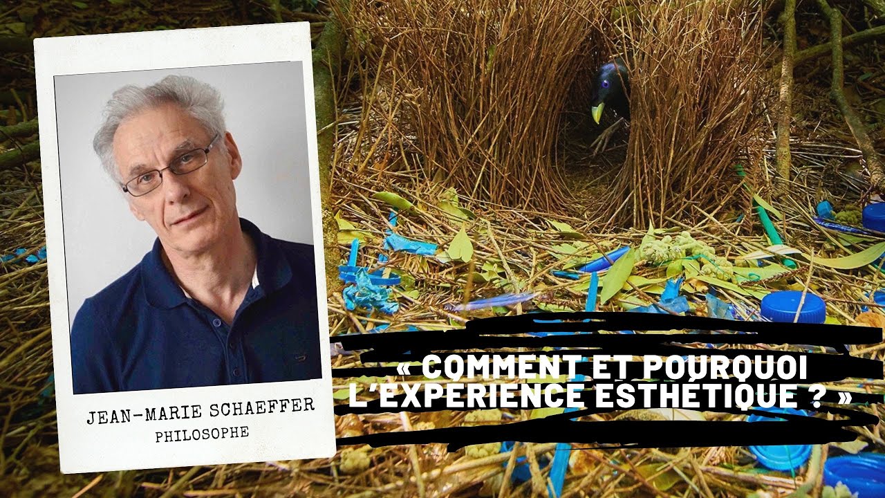 Comment et pourquoi l’expérience esthétique ?, Jean-Marie Schaeffer ...
