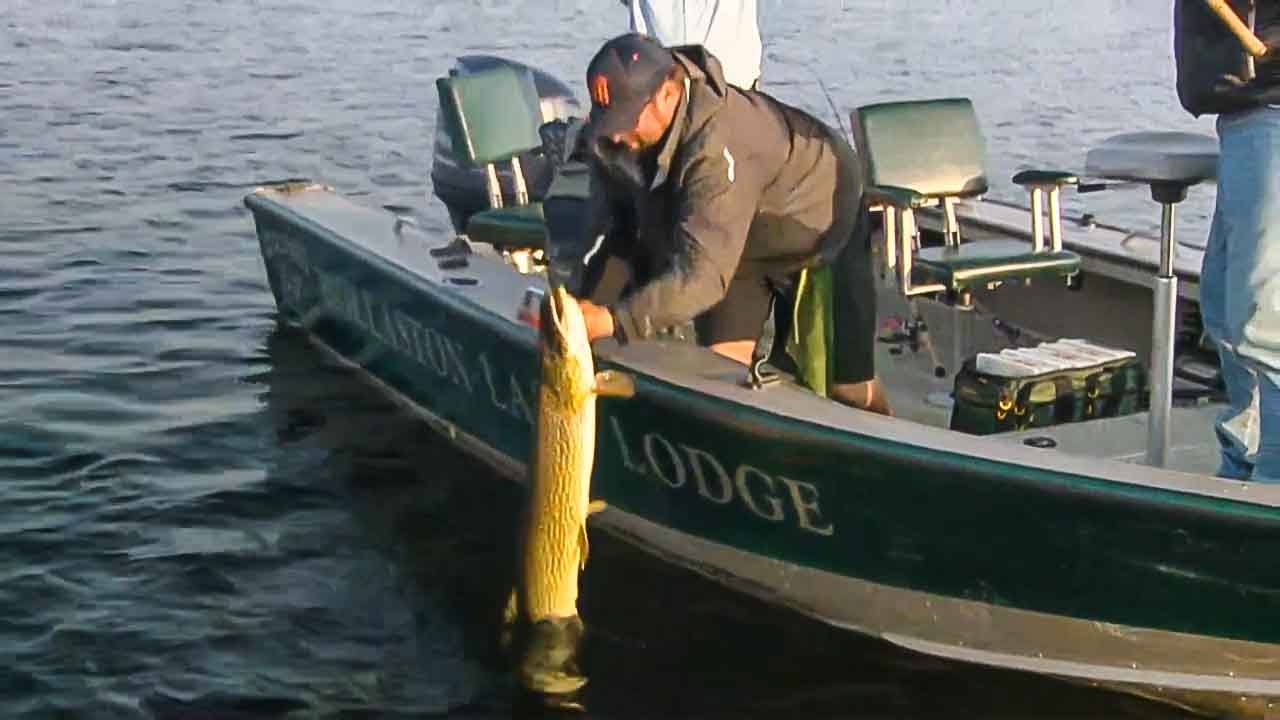 EXPLOSIVE Gator Pike Fishing at Wollaston Lake Lodge - Good Fishing ...