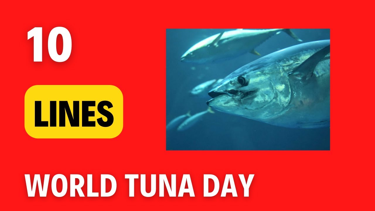 10 lines on World Tuna Day in English | Why is World Tuna Day ...